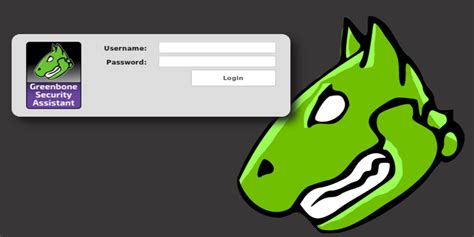 how to install and use a vulnerability scanner in linux