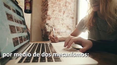 ¿cómo transicionar de ipv4 a ipv6 benisnous