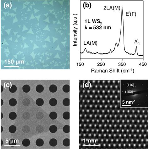 A Optical Image Of Cvd Grown Monolayer Ws2 Flakes On Sio2 B Raman