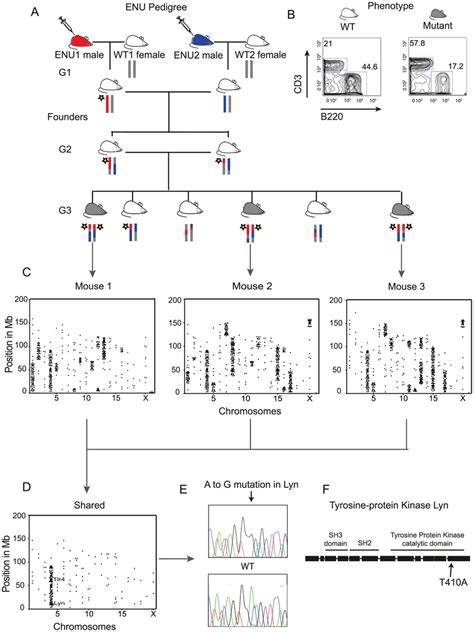 Whole Genome Sequencing Identifies The Ibd Homozygous Region And