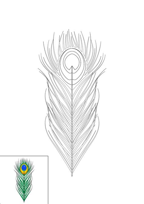 How To Draw A Peacock Feather Step By Step