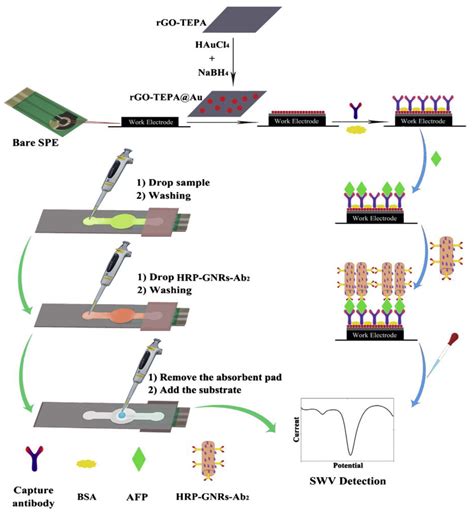 Biosensors Free Full Text Screen Printed Electrodes Promising
