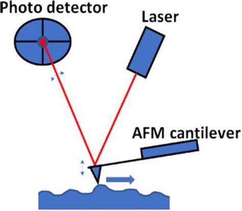 Schematic View Of The Afm Measurement Principle Download Scientific