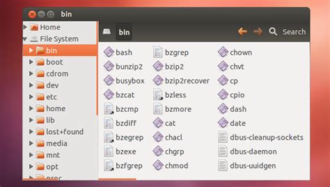 the linux directory structure explained
