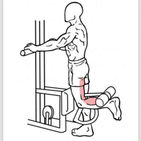 Standing Leg Curls Exercise How To Workout Trainer By Skimble