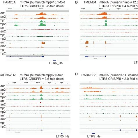 Comparison Of Gene Expression Between Human And Chimpanzee Ipscs A