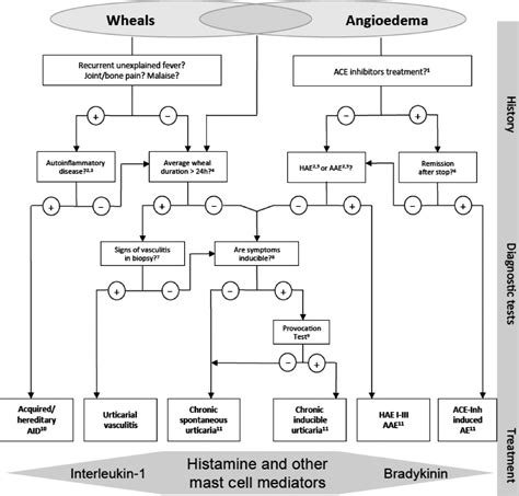 Urticaria Classification