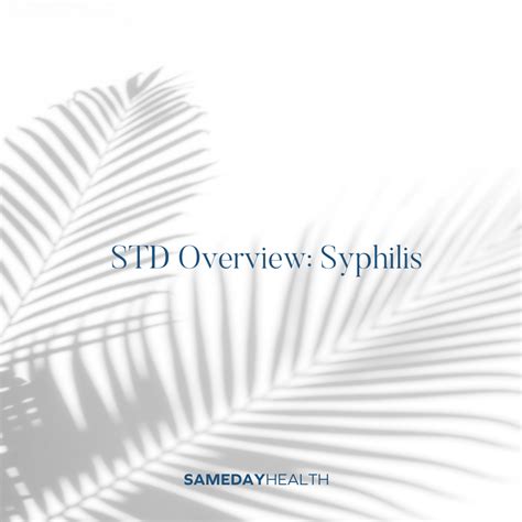 Std Overview Syphilis Signs Symptoms And Treatment — Sameday Health