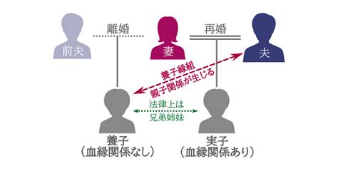 実子とは？養子縁組とは？相続における実子と養子の違い【具体例】｜相続大辞典｜【相続税】専門の税理士60名以上｜税理士法人チェスター