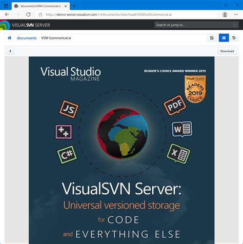 repository web interface visualsvn server