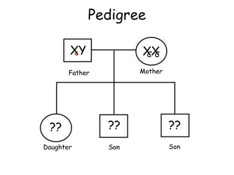 ppt sex linked inheritance powerpoint presentation free download