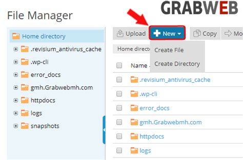 how we can create new file or directory in plesk 17 8 onyx in client