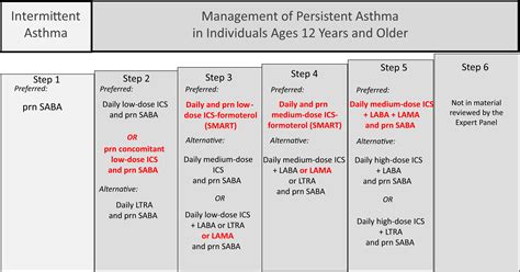 2020 Naepp Guidelines Update And Gina 2021—asthma Care Differences