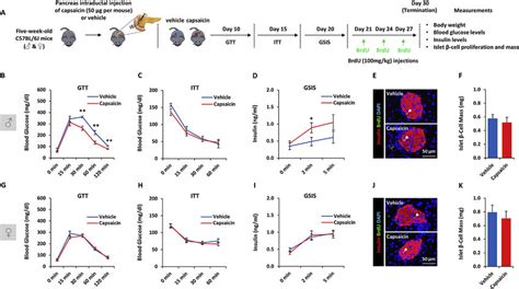 chemodenervation of pancreas projecting trpv1 afferents