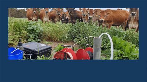 12 Mar 2021 Low Flow Groundwater Sampling Youtube