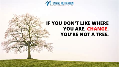 why are trees so important my crazy email images