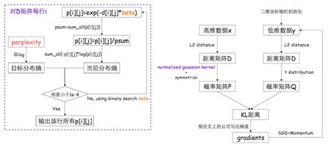tsne2 机器学习 降维可视化 云生物—上海生物医药科研服务云平台 测序，芯片，科研解决方案