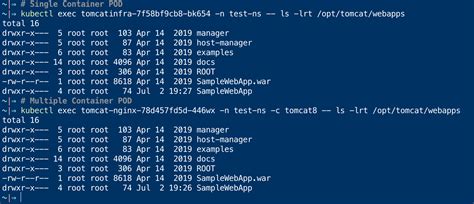 kubectl exec examples execute shell commands into a pod k8s