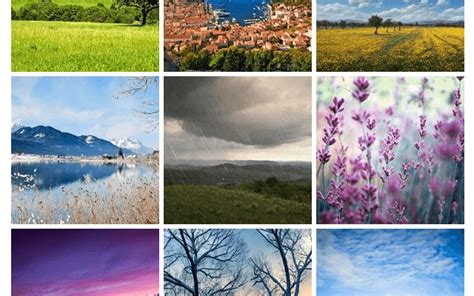 asp mvc image and data navigation extensions devexpress