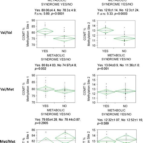 Percent Methylation On The Catechol O Methyl Transferase Comt