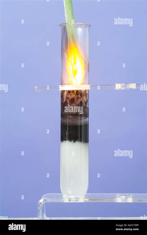 Catalysis Of Hydrogen Peroxide Decomposition The Test Tube Contains