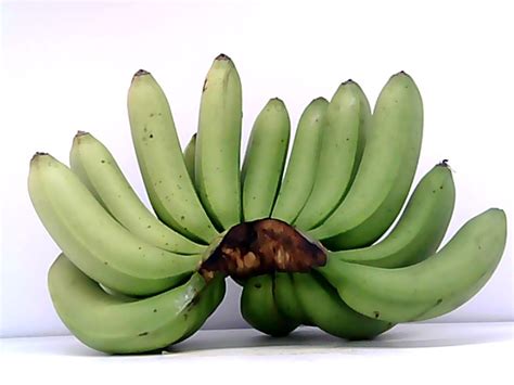 image how to get the size of an object using opencv