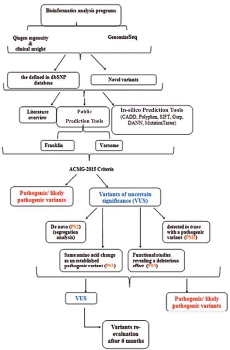 workflow of variant filtering and classification acmg american