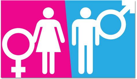name verification and gender determination melissa