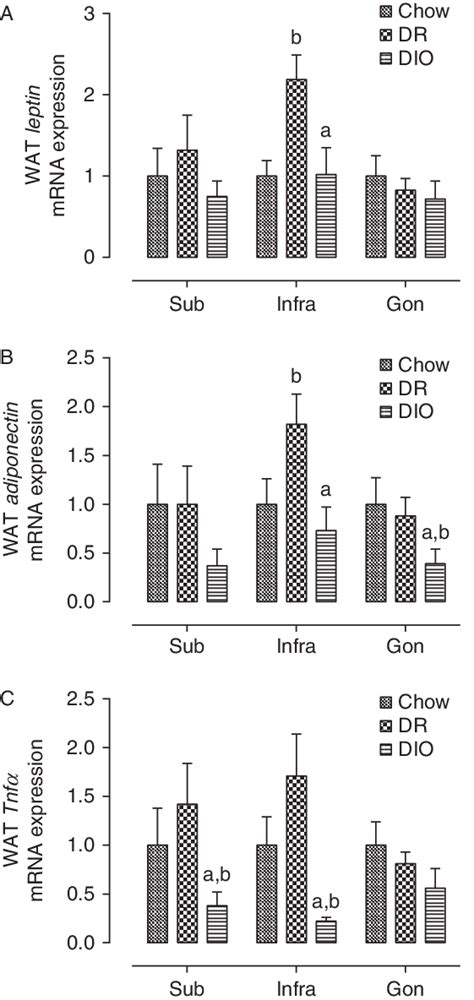 Peripheral Mrna Expression Levels Of Leptin A Adiponectin B And