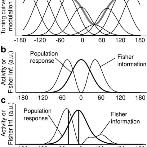 Illustration Of Surround Modulation On Center Neural Population
