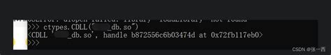 python调用c dll库 oserror [winerror 126] 找不到指定的模块。 张一西的博客 csdn博客