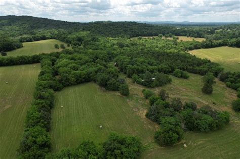 169 Acres Offered In Tracts In Rockvale Tn