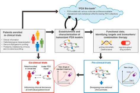 Precision Medicine Pipeline Using Patient Derived Xenograft Pdx