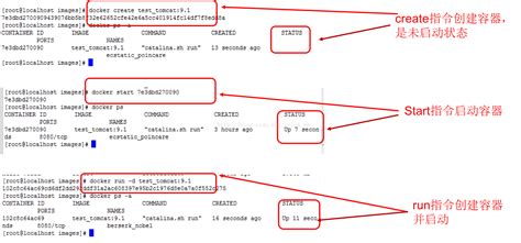 docker入门与实战讲解 docker实战 一 csdn博客
