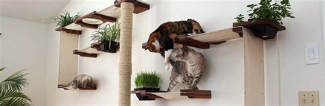 Cat Climbing Structures Best Wall Mounted Cat Tree Catastrophicreations