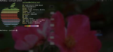 instantly open a full screen terminal on your mac using a keyboard shortcut