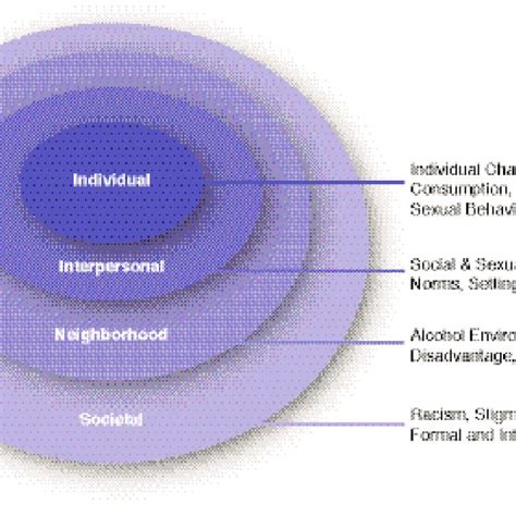Conceptual Model Of Hiv Risk From An Ecological Perspective