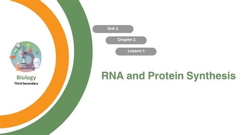 Unit 2 Chapter 2 Lesson 1 Rna And Protein Synthesis Youtube