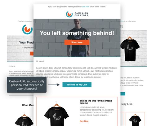 abandoned cart campaign for hubspot shopify details page