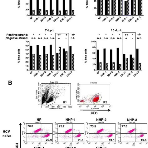 Cd4 And Cd8 T Cell Proliferation Rates After Exposure To Hcv