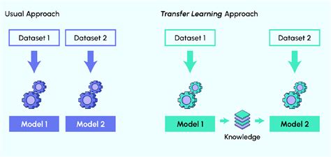 How To Choose The Best Pre Trained Model For Your Convolutional Neural