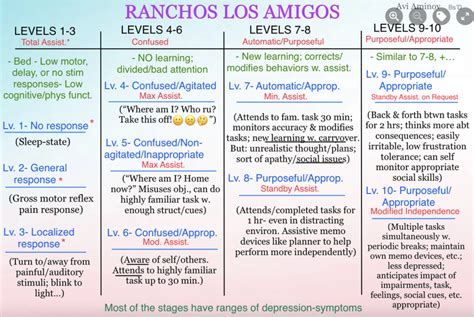 rancho los amigos cognitive level scale cls diagram quizlet