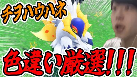 【ポケモンsv】チヲハウハネ色違い厳選！本当に簡単に入手できるのか？ キラフロルの色厳選もしてます 【ポケモンスカーレットバイオレット】しろー