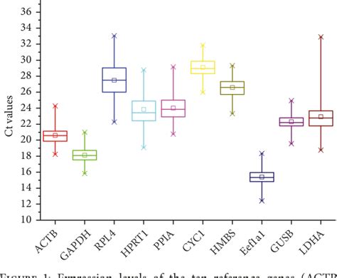 Figure 1 From Validation Of Reference Genes For Gene Expression