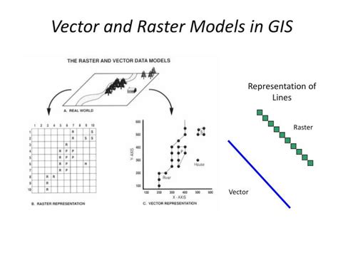ppt vector and raster data models powerpoint presentation id 2570754