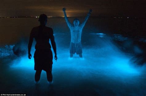 Glowing In The Dark Eerie Phenomenon Turned Swimmers Brighter Shade Of