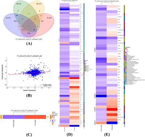 Transcriptomics And Proteomics Expression Regulation Diagrams A Venn