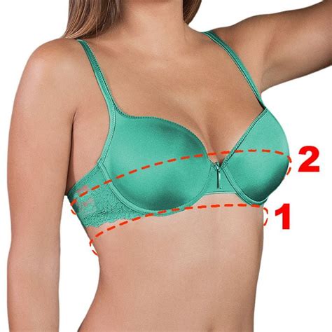 Bra Calculator Picture Perfect Lingerie