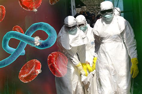 Ebola Virus Outbreak In Congo Could Take Four Months To Control Daily