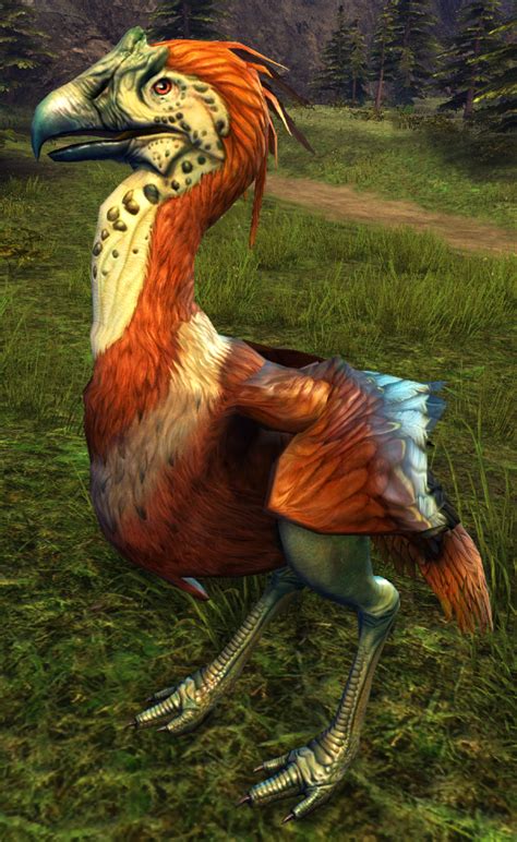 The Ultimate Guide To The Extinct Red Moa Bird